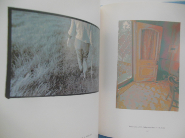 Todd Walker Photographs Untitled 38 (1985)