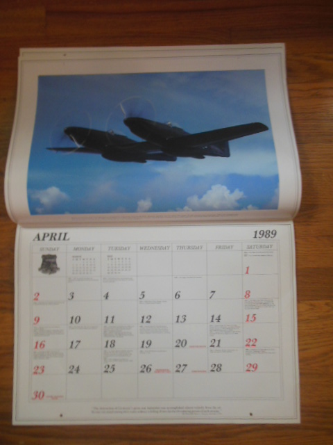 The Oficial Confederate Air Force 1989 Calendar